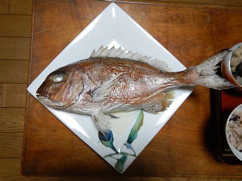 魚の頭は右向き？左向き？配膳方法どっちだっけ？ 魚食普及推進センター一般社団法人 大日本水産会