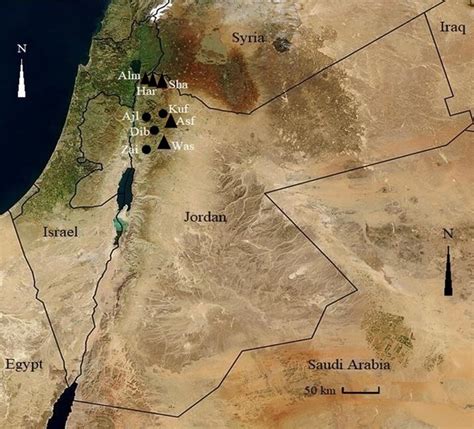 Geographic Distribution Of The Nine P Halepensis Populations Sampled Download Scientific