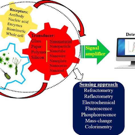 Pdf Minireview Trends In Optical Based Biosensors For Point Of Care Bacterial Pathogen