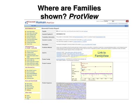 PPT Comparative Genomics PowerPoint Presentation Free Download ID