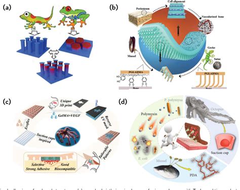Figure 4 From Review Of Biomimetic Ordered Microstructures In Advancing Synergistic Integration