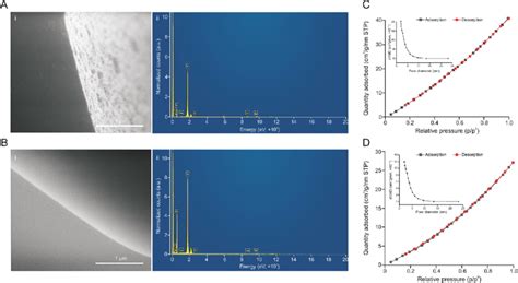 Characterization Of Different Capillary Column A Scanning Electron Download Scientific