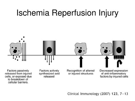 Transplant Immunology Ppt Download