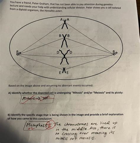 Solved Pleae Help On A B C Provide Answer And An Chegg Com