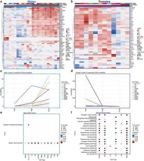 Sex Specific Single Cell Level Transcriptomic Signatures Of Rett
