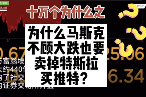 十万个为什么之为什么马斯克不顾大跌也要卖掉特斯拉买推特 凤凰网视频 凤凰网