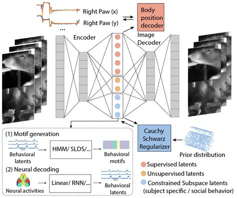 Github Saxenalab Neurobehavioral Feature Extraction Cs Vae