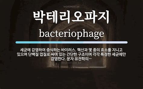 박테리오파지 뜻 세균에 감염하여 증식하는 바이러스 핵산과 몇 종의 효소를 지니고 있으며 단백질 껍질로 싸