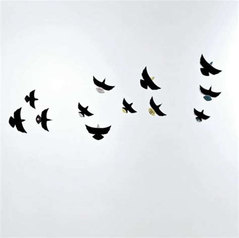 Aimee Gruar The Last Flight The Collaboration