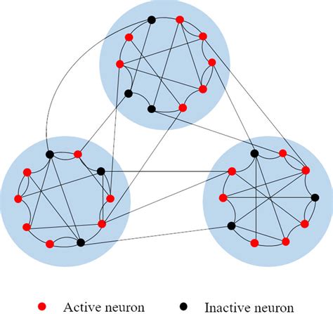 Schematic Illustration Of A Modular Neuronal Network With Download