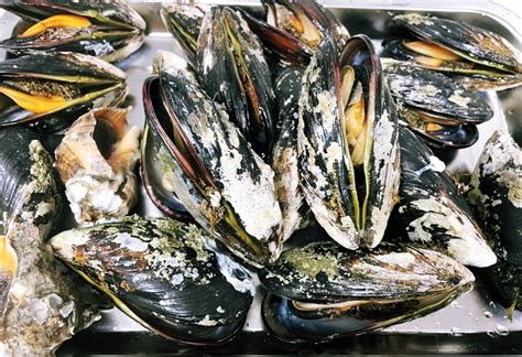 자연산 홍합 섭 삶기