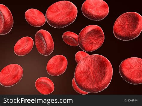 Blood Flow Vein Free Stock Photos Stockfreeimages