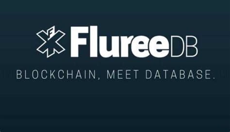 Fluree A Blockchain Backed Data Platform Startup Selected To Provide