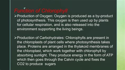Structure And Biological Role Of Hemoglobin Myoglobin And Chrophyll Biological Nitrogen Fixation