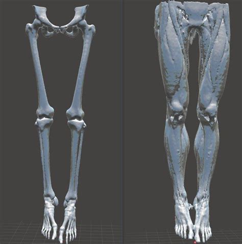 How To Easily And Automatically Convert A Ct Scan Dicom Data Into A 3d
