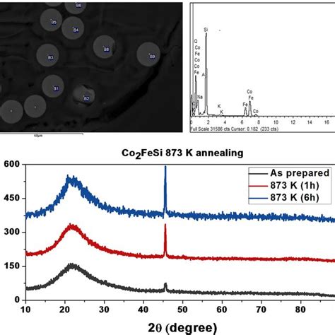 E A Sem Image Indicates The Cross Section Of As Prepared Cfs Download Scientific Diagram