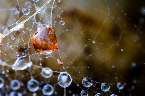 Integrating Third Party Apis In Aspnet Mvc A Step By Step Approach