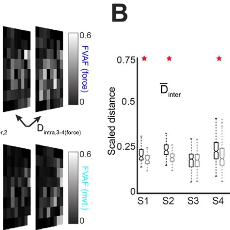 Decoding Maps Reveal Changes In The Cortical Representations Of Download Scientific Diagram