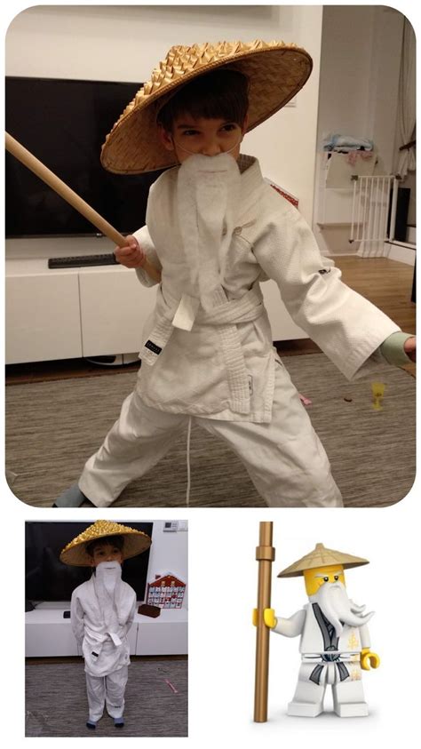 Ninjago Sensei Wu Costume