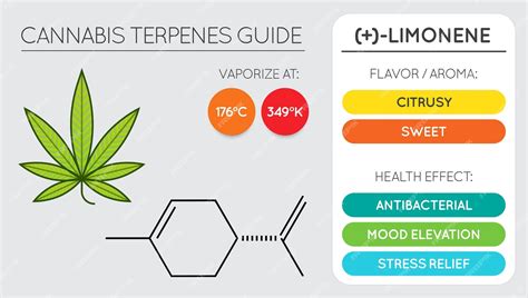 Premium Vector Cannabis Terpene Guide Information Chart Aroma And