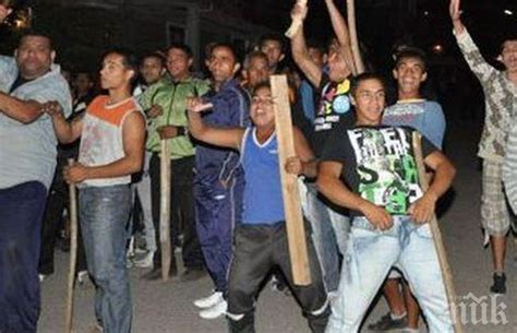 Меле в гората край Руен Цигани се биха с тояга и брадва заради устата Златка Информационна