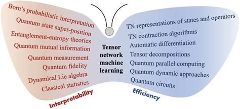 Exploring Tensor Networks For Enhanced Interpretability And Efficiency In Quantum Inspired