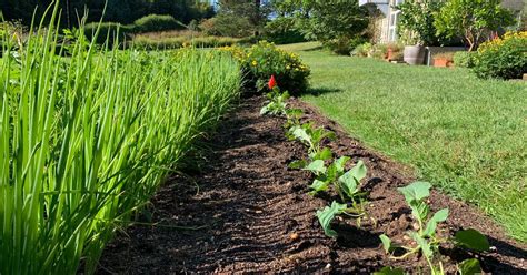 Inspiring A Conservation Ethic