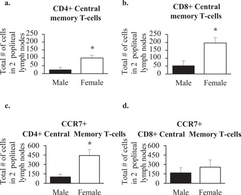 Sex Differences In Mouse Popliteal Lymph Nodes Pmc