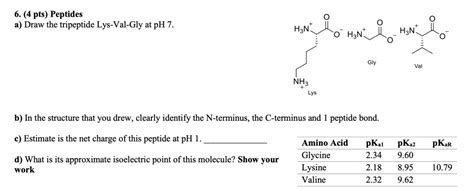 6 4 Pts Peptides A Draw The Tripeptide Lys Val Gly At Ph 7 Hzn Hzn Hzn
