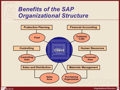 Sap Fi Organization Structure