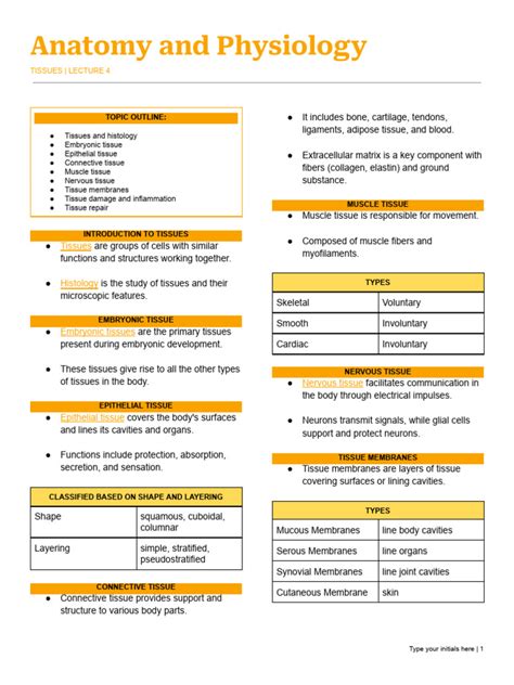 Tissues Lecture 4 Santiago Pdf Tissue Biology Connective