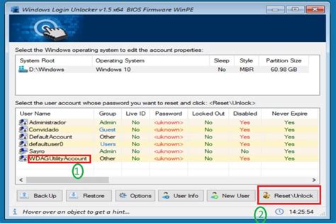 Windows Login Unlocker Sayro Digital