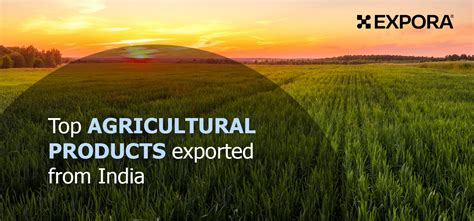 GST Refund On Export Explained How To Claim It