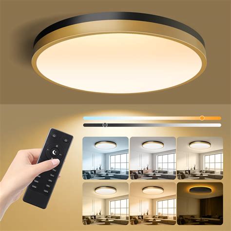 Wall Ceiling Light With Remote Lighting The Home Depot