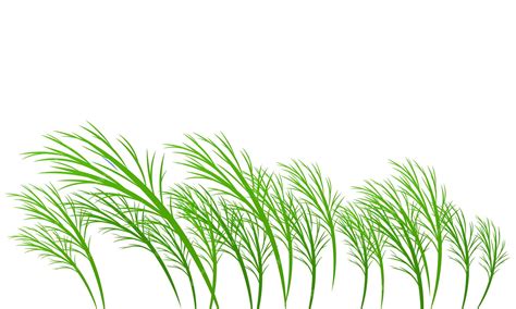 Premium Vector Vector Grass Border Vector Illustration