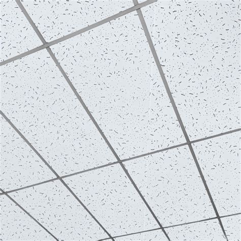 Acoustical Ceiling Is A Drop Ceiling The Acoustical Ceiling