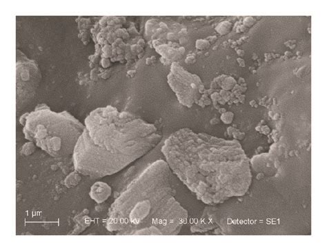 Scanning Electron Microscopy Sem Micrographs And Energy Dispersive