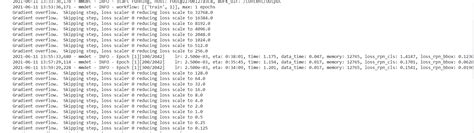 Assertionerror Default Process Group Is Not Initialized · Issue 48