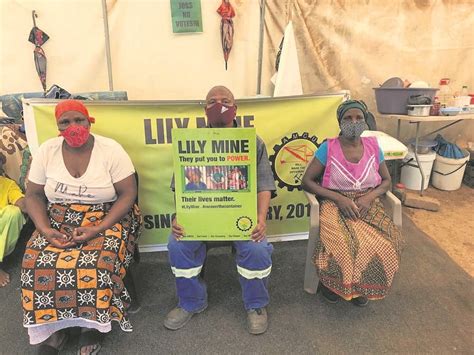Lily Mine Sorrow Continues Daily Sun