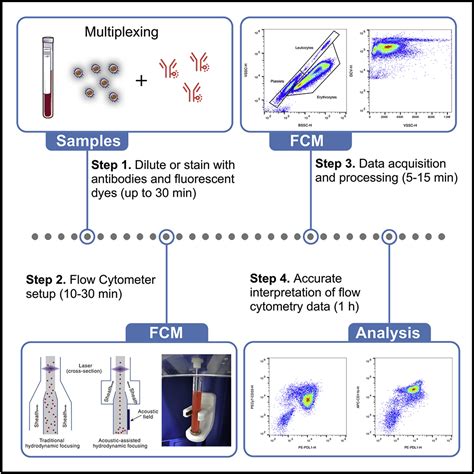 Flow Cytometry Sample Submission Guidelines Anilocus