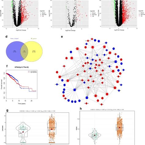 Bioinformatics Analysis Results Differential Analysis Was Performed On