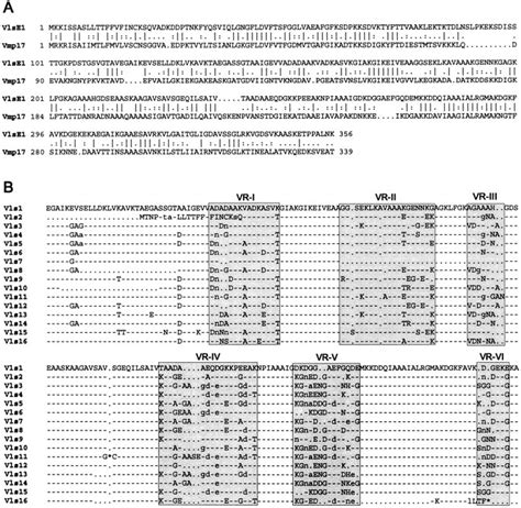 Antigenic Variation In Lyme Disease Borreliae By Promiscuous