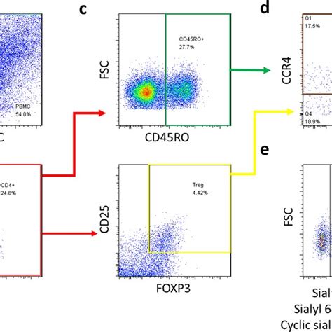 Gating Strategy Performed By Flow Cytometry A Pbmc Were Identified