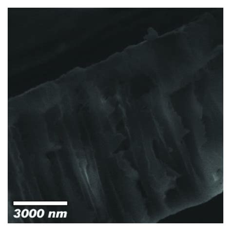 Show Scanning Electron Microscopy Micrographs Of The Polycarbonate Download Scientific Diagram