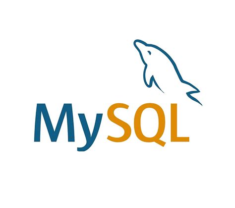 Mysql Java 연동 시 Public Key Retrieval Is Not Allowed 오류 — B의 개발 공부 기록