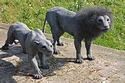 Categorythree Lions Sculpture In The Tower Of London Wikimedia Commons