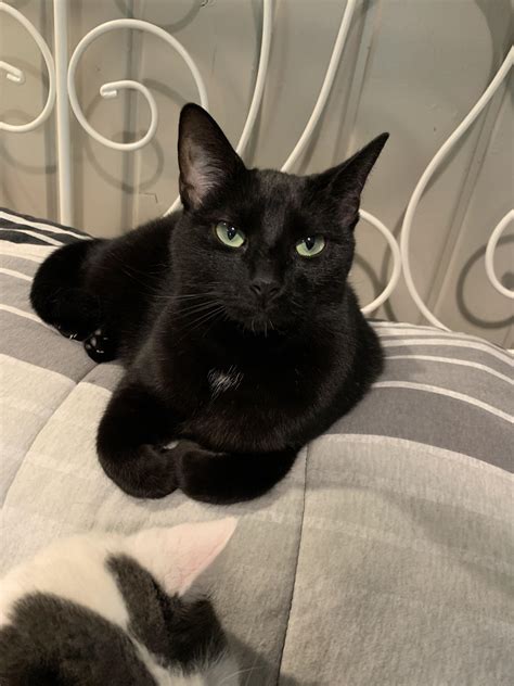 Nala Modeling Her Curled Feetsies R Curledfeetsies