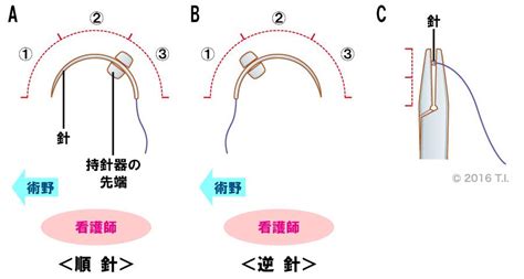 針術 しんじゅつ Japanese English Dictionary Japaneseclassjp