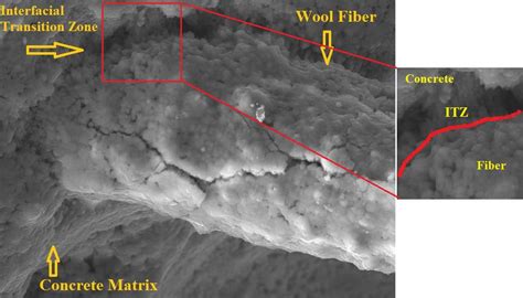 The Interfacial Transition Zone Between Wool Fiber And Concrete Matrix Download Scientific