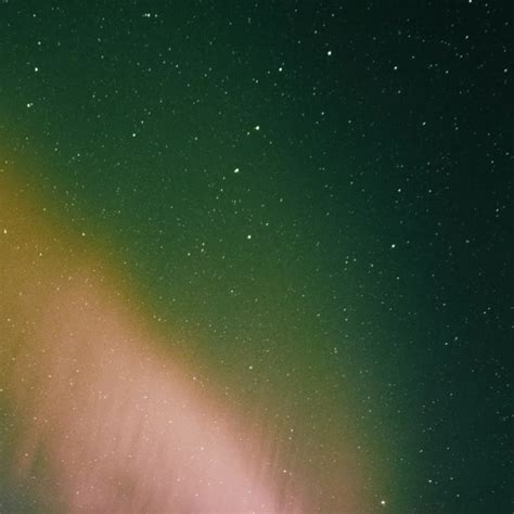 Codepole On Linkedin Codepole Technology Team Software Programming Golang